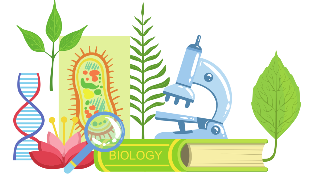 Experiments - Miracles Of Science our experiments for kids